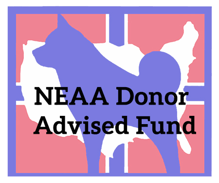 NEAA Donor Advised Fund – NEAA